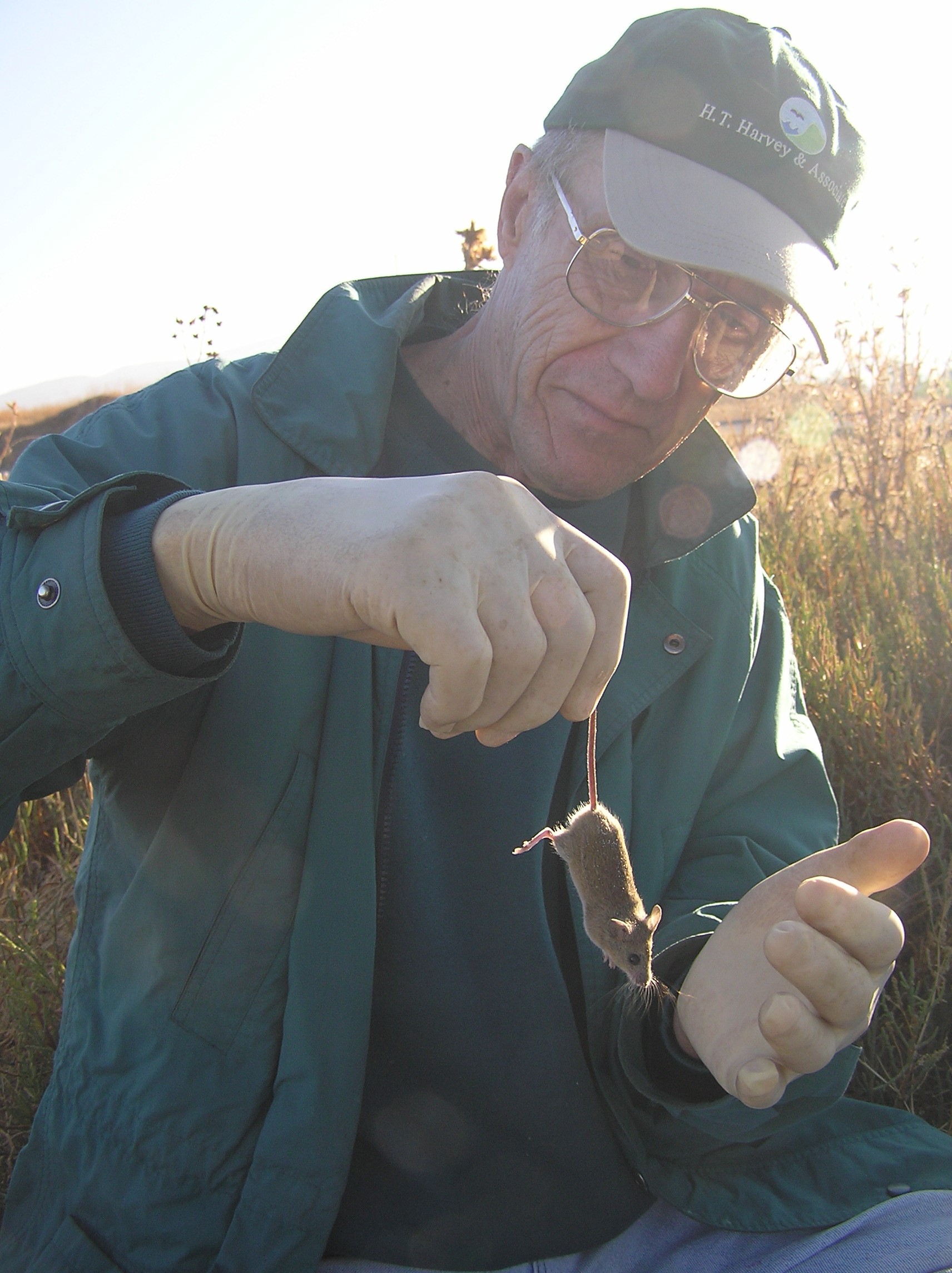 The Rebirth of a Former Salt Pond - An Earth Day Gift