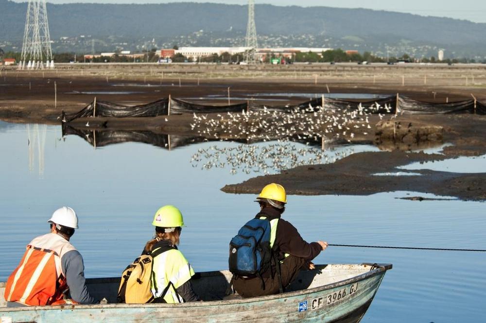 The project launched a $4 million scientific research and monitoring ...