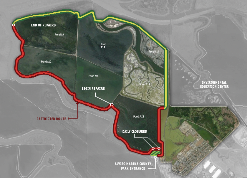Current Work | South Bay Salt Ponds