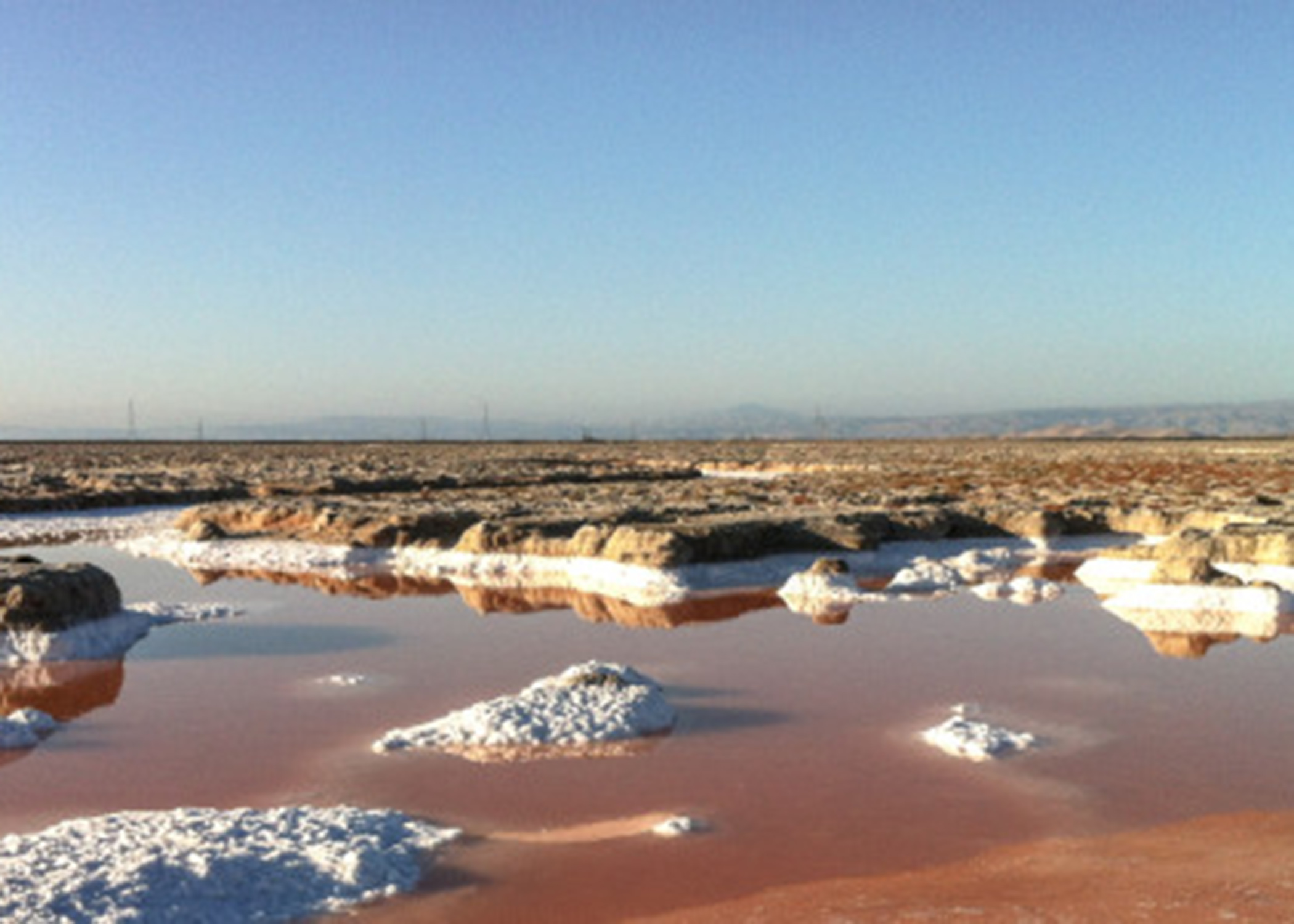 Phase Two Construction Has Begun! | South Bay Salt Ponds