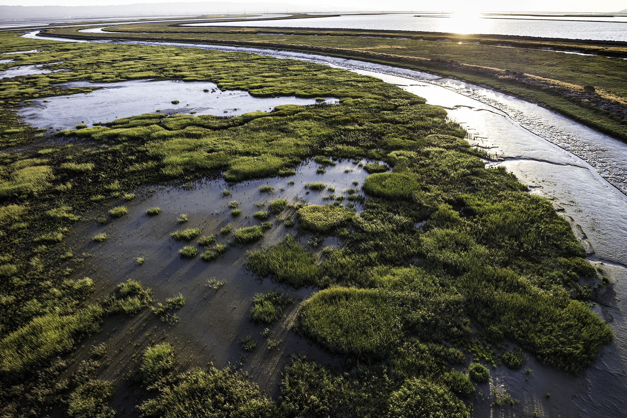 Documents regarding the project | South Bay Salt Ponds