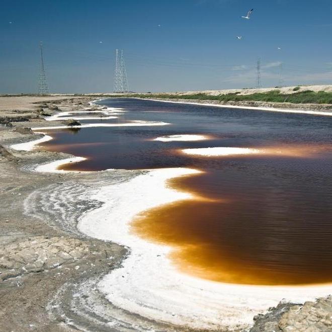 Visiting the Pond Complexes | South Bay Salt Ponds