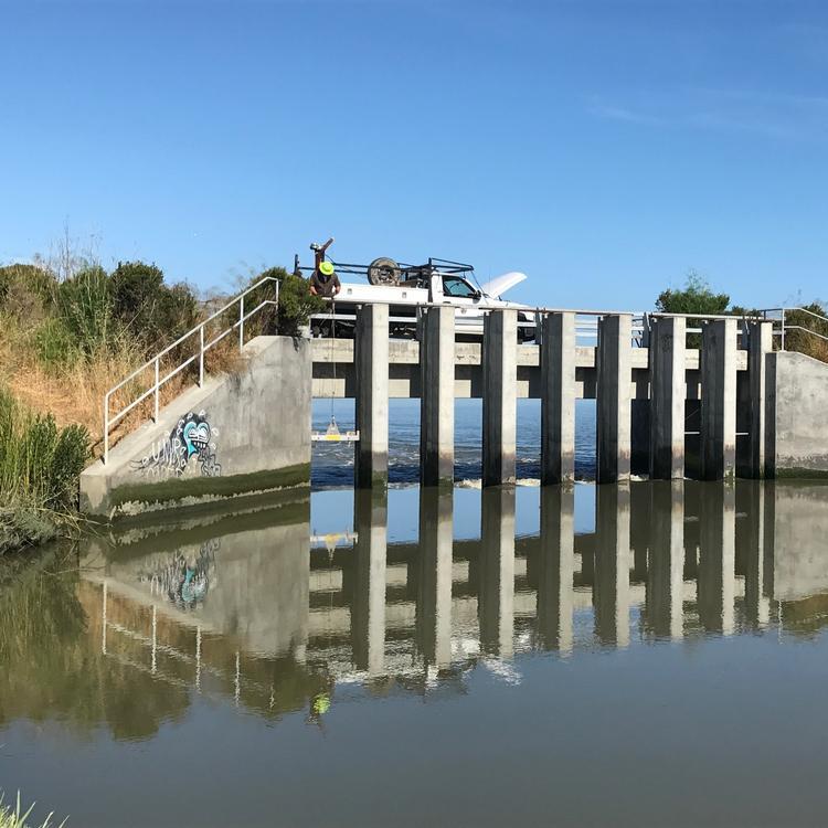 Our Progress | South Bay Salt Ponds